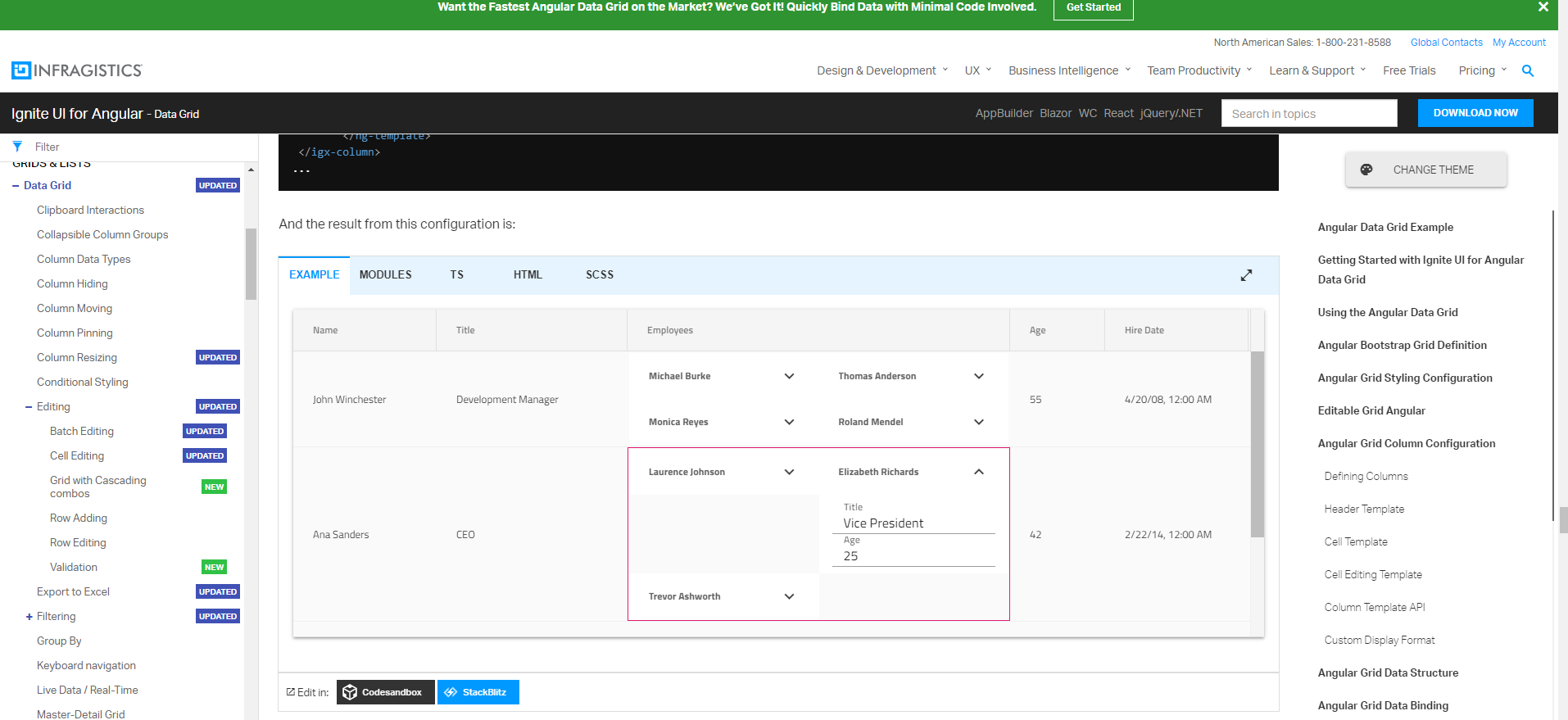 Grid nested data binding need better styling · Issue #392 · IgniteUI ...