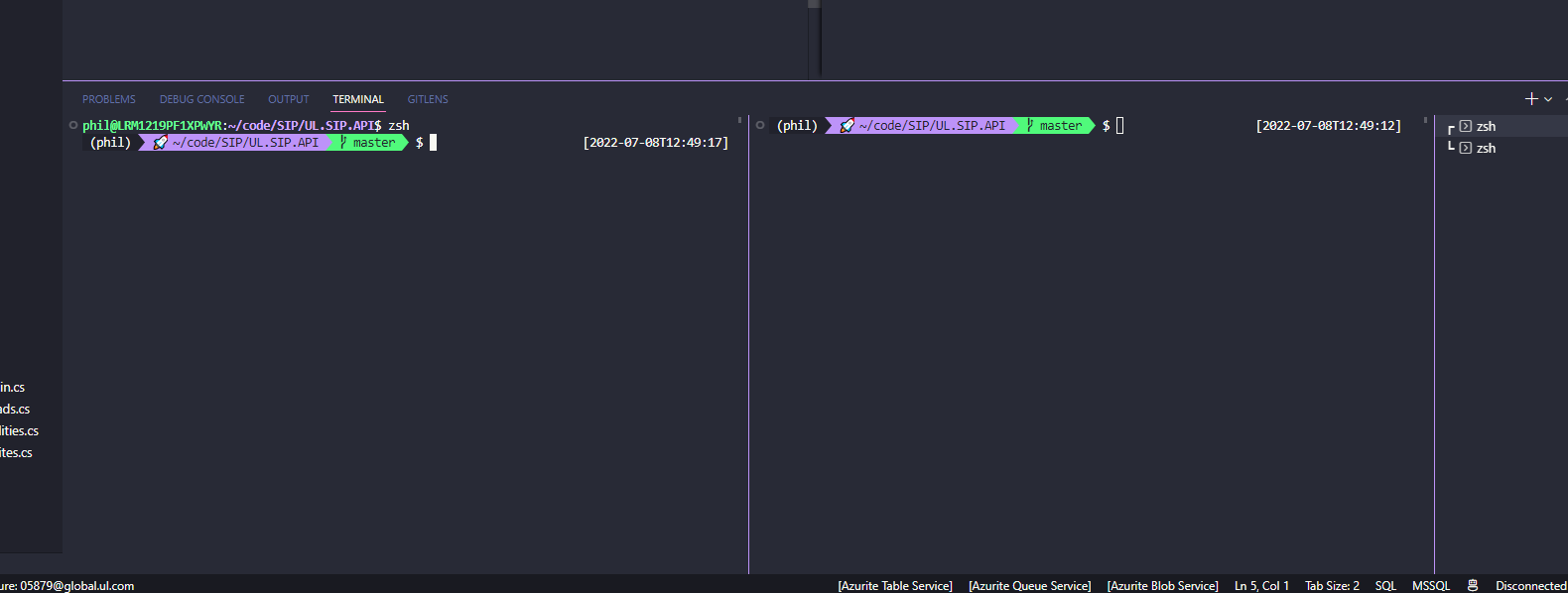 Shell Integration Does Not Work When Swapping Terminal Types · Issue ...