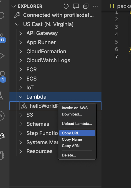 feat(#2572): Lambda copy url by nkomonen-amazon · Pull Request #3036 · aws/aws-toolkit-vscode ...