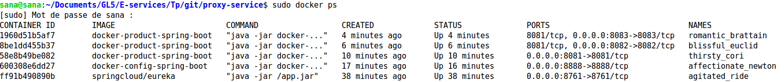 GitHub - sanasa/Docker-sring-boot-cloud-microservices: A microservice architecture composed of ...