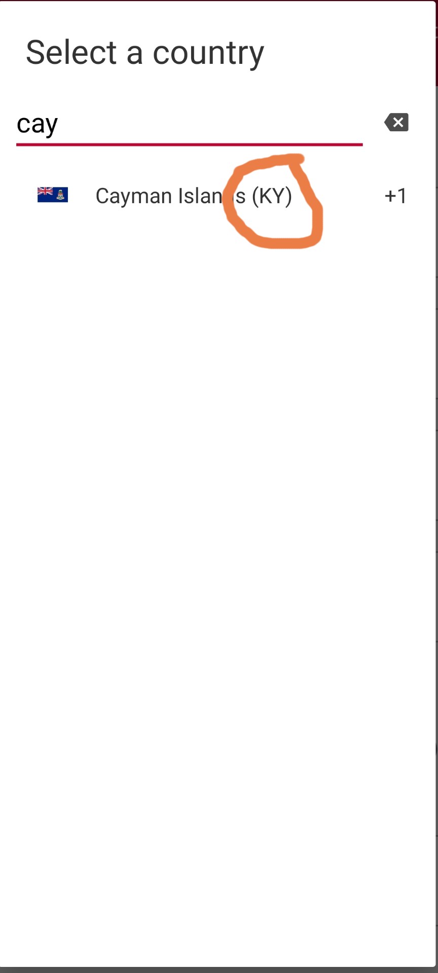 How to update country flag and phone code for any country? · Issue #359 · hbb20 ...