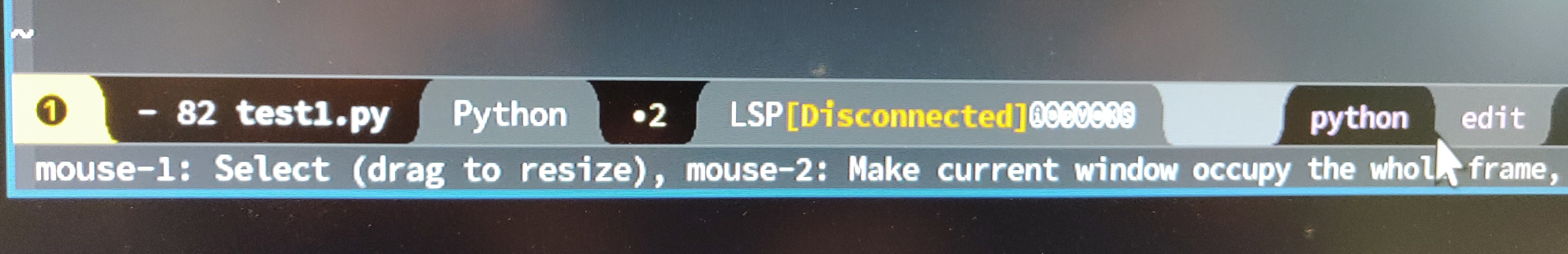 [question] How to config the Python layer to use Microsoft Python Language Server properly ...