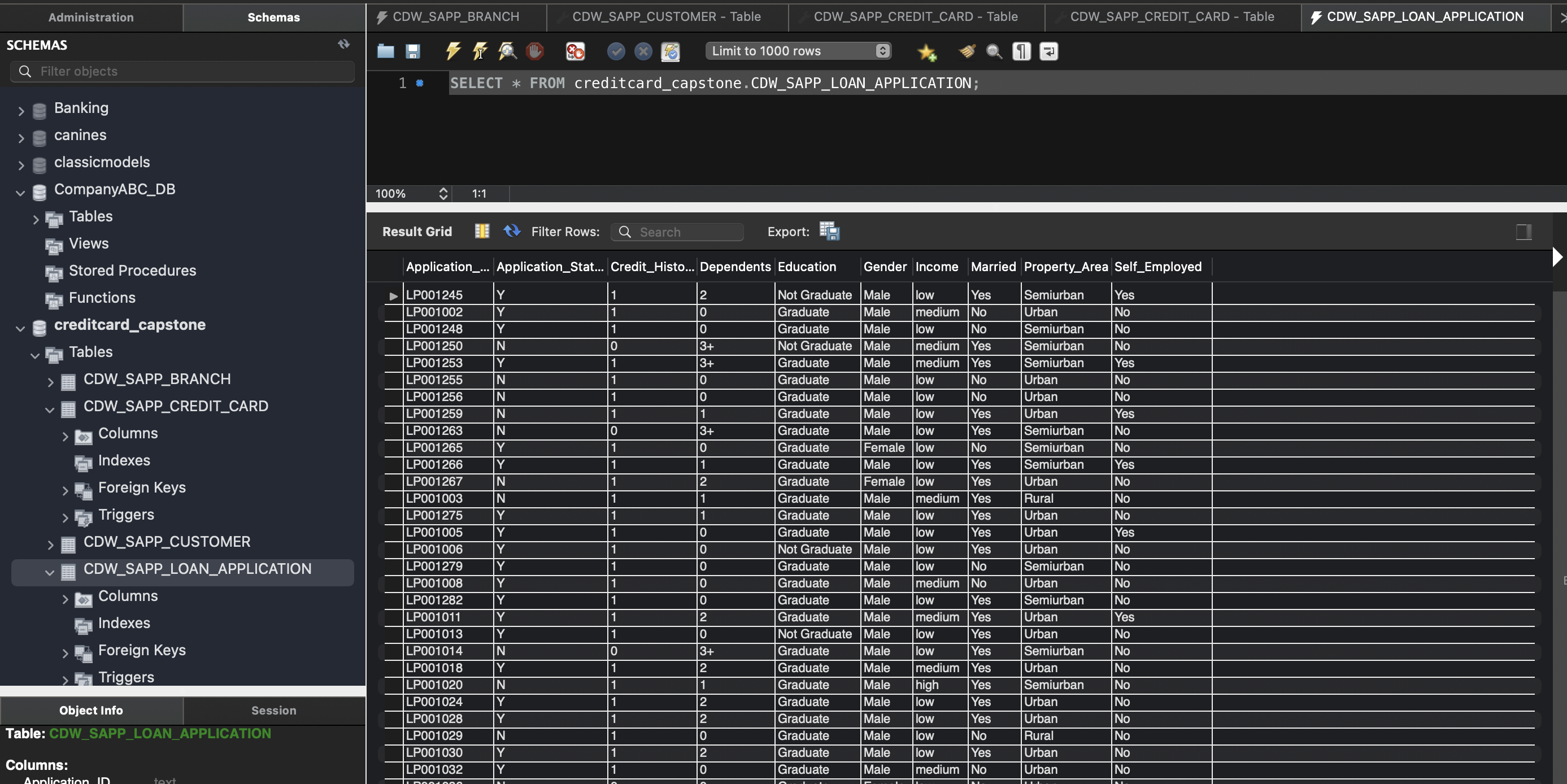 GitHub - RizingTide/Capstone_Project_Case_Study