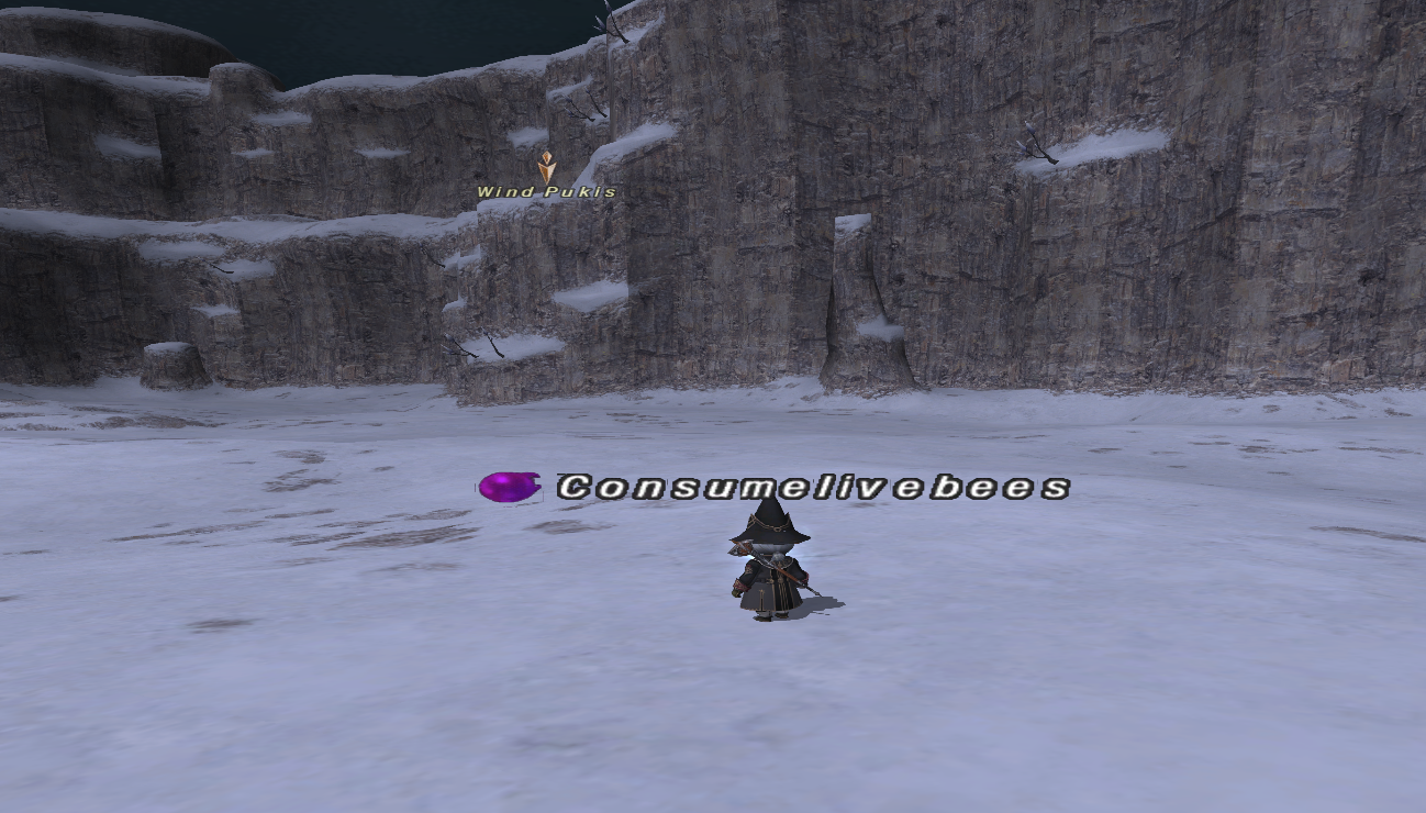 🐛 dynamis beaucedine mobs some times spawn invisible with only a name ...