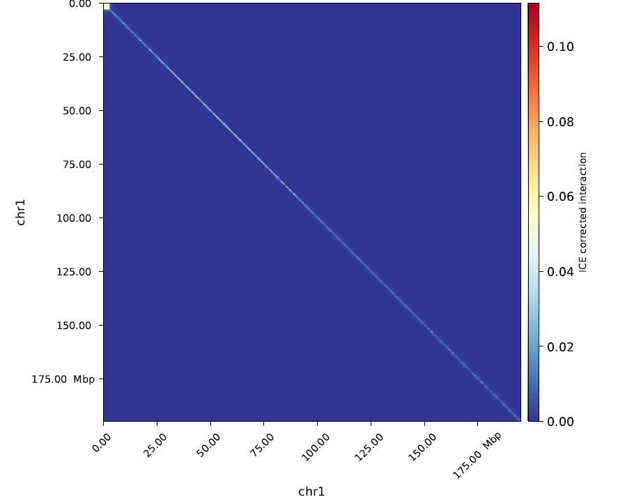 cooler balance column visibility · Issue #214 · open2c/cooler · GitHub
