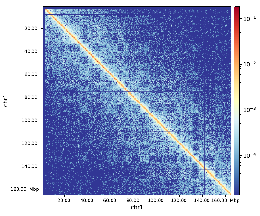 Apply weights to cool files · Issue #595 · deeptools/HiCExplorer · GitHub