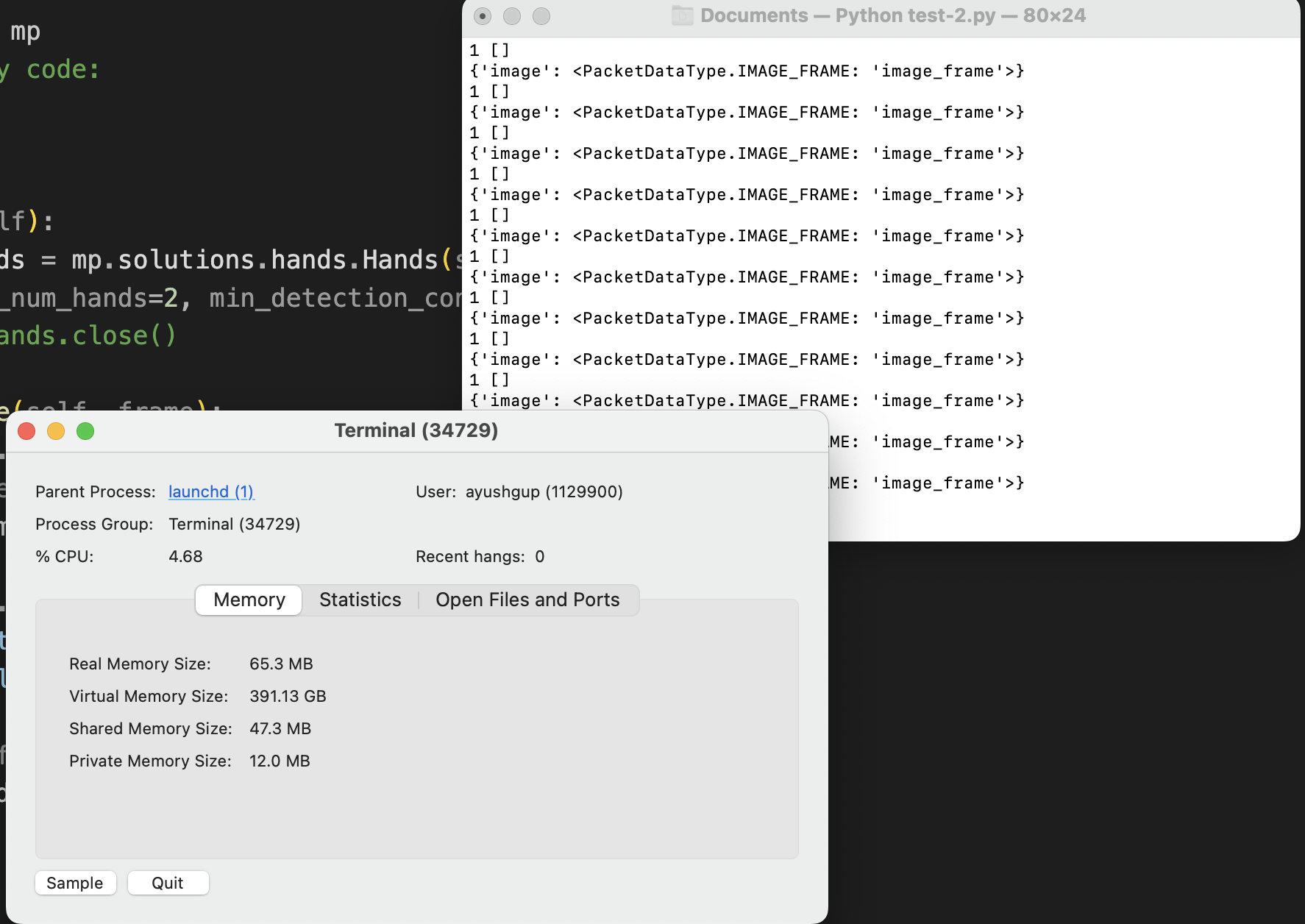 memory increases until it crashes · Issue #4321 · google/mediapipe · GitHub