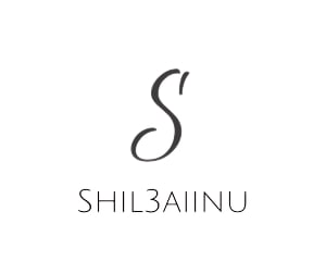 GitHub - AiinuShil3a/PHPUnit-shil3aiinuWeb