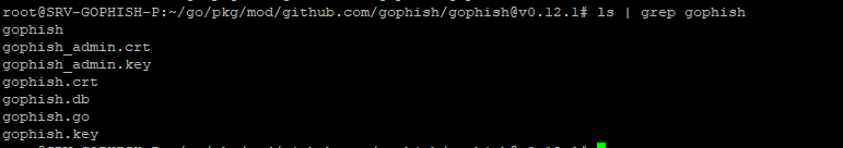 Unable to Login after fresh install -> Forbidden - CSRF token invalid · Issue #2663 · gophish ...