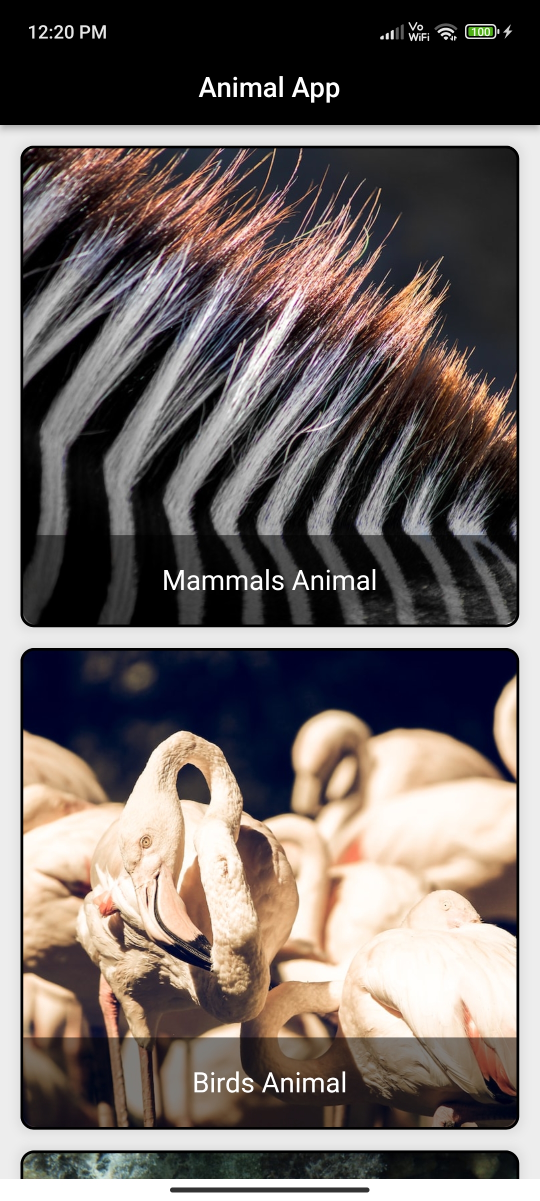 GitHub - ManPanchani/Animal-App