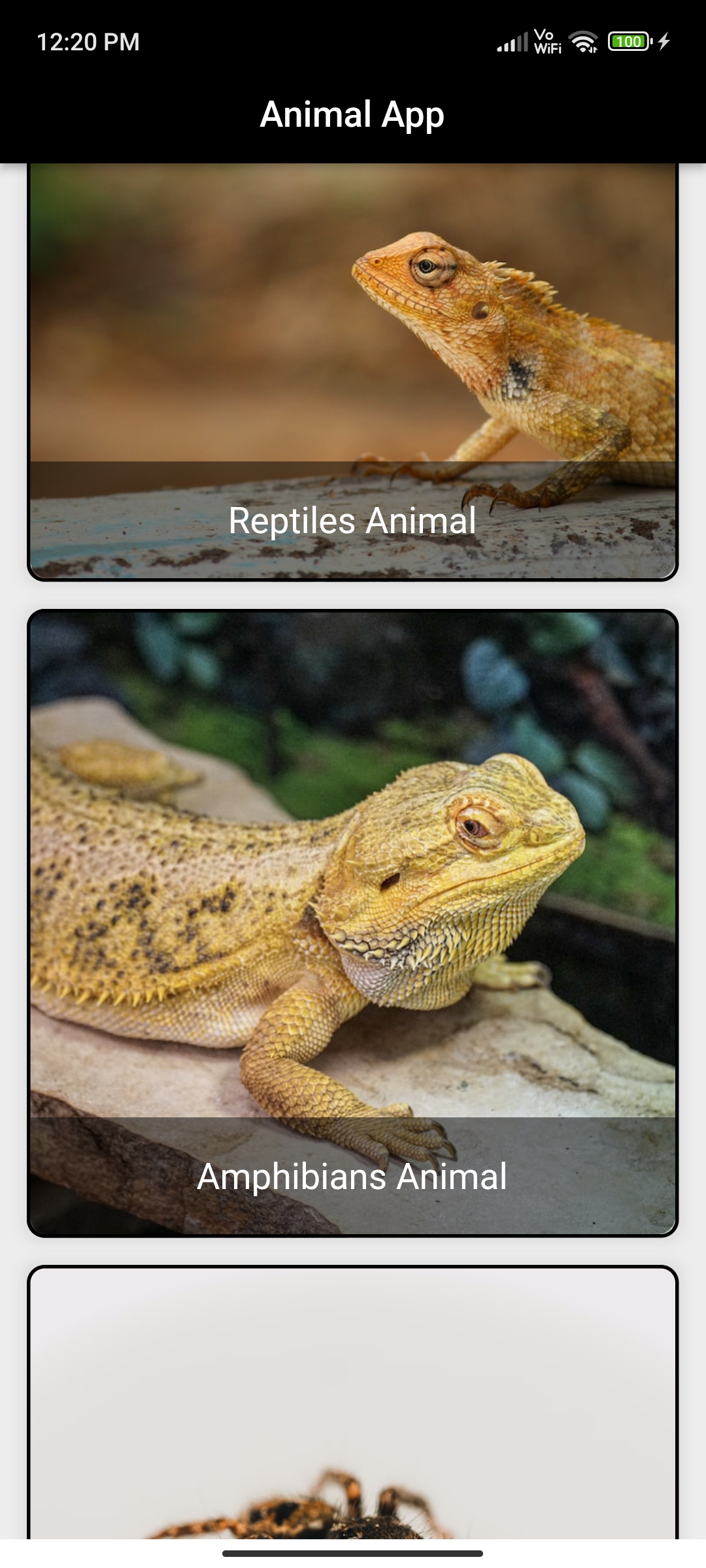 GitHub - ManPanchani/Animal-App