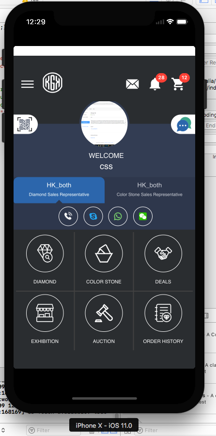 Tried the checklist for ios 11 but nothing working · Issue #13374 · ionic-team/ionic-framework ...