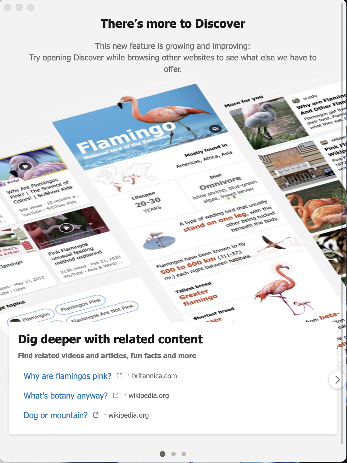 Cannot open application (MacOS Apple Silicon) · Issue #175 · dice2o/BingGPT · GitHub