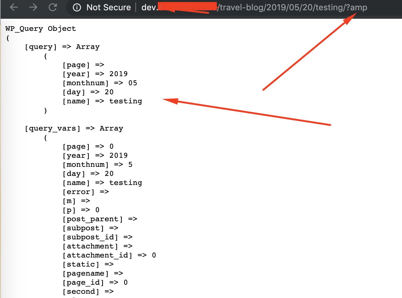 AMP Query Not Displaying In WP_Query on Posts [Won't Validate] · Issue #2354 · ampproject/amp-wp ...