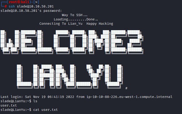 GitHub - 0xbod/Lian_YuWriteUp: A writeup for Lian_Yu machine on tryhackme