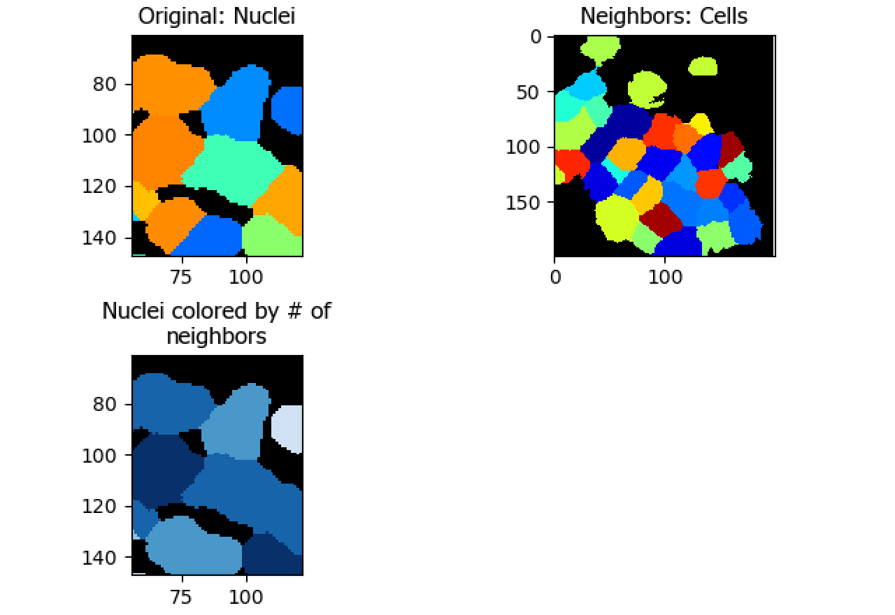 MeasureObjectNeighbors: Display windows not synchronized · Issue #4628 · CellProfiler ...