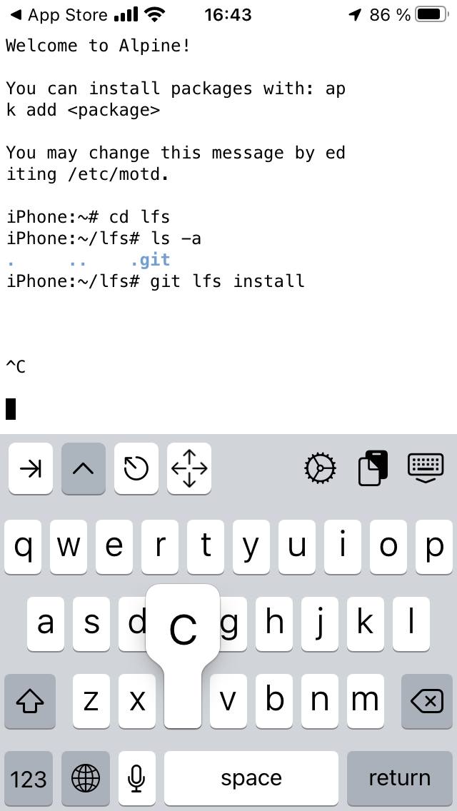 iSH stop responding during `git lfs install` · Issue #1742 · ish-app/ish · GitHub