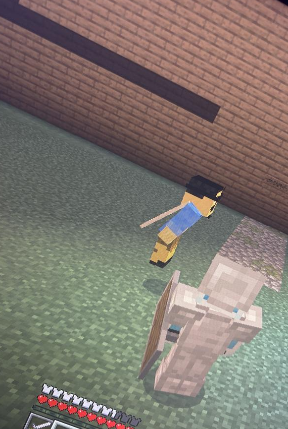 GeyserMC players seeing java players frozen · Issue #3936 · GeyserMC/Geyser · GitHub