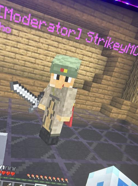 GeyserMC players seeing java players frozen · Issue #3936 · GeyserMC/Geyser · GitHub