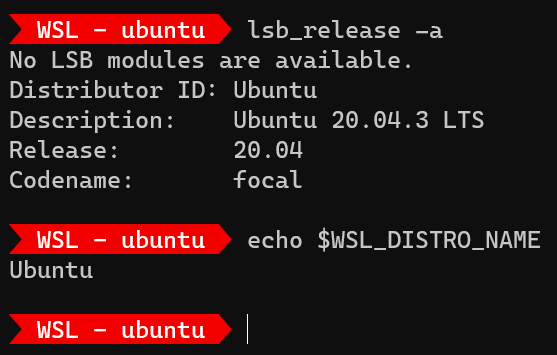 .OS template variable is just "linux" on WSL instead of distro name ...