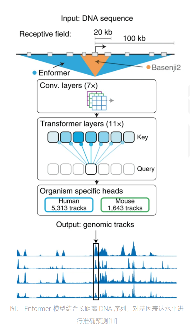 GitHub - wangzuzihan/AI4S-Mapping