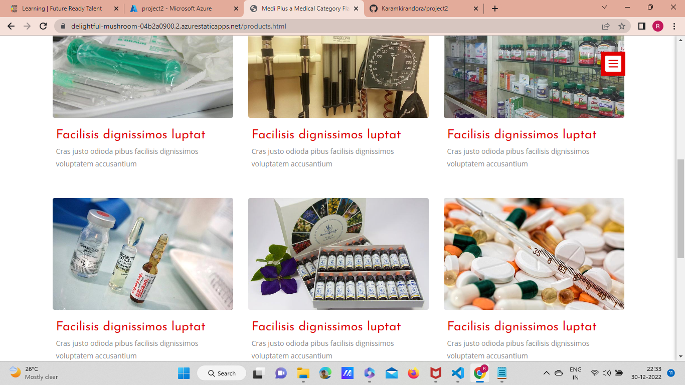 GitHub - Karamkirandora/project2