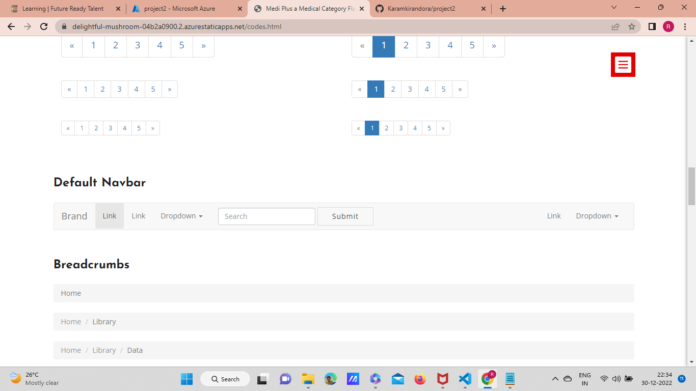 GitHub - Karamkirandora/project2