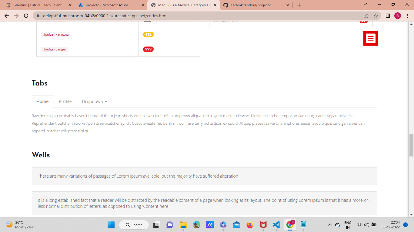 GitHub - Karamkirandora/project2