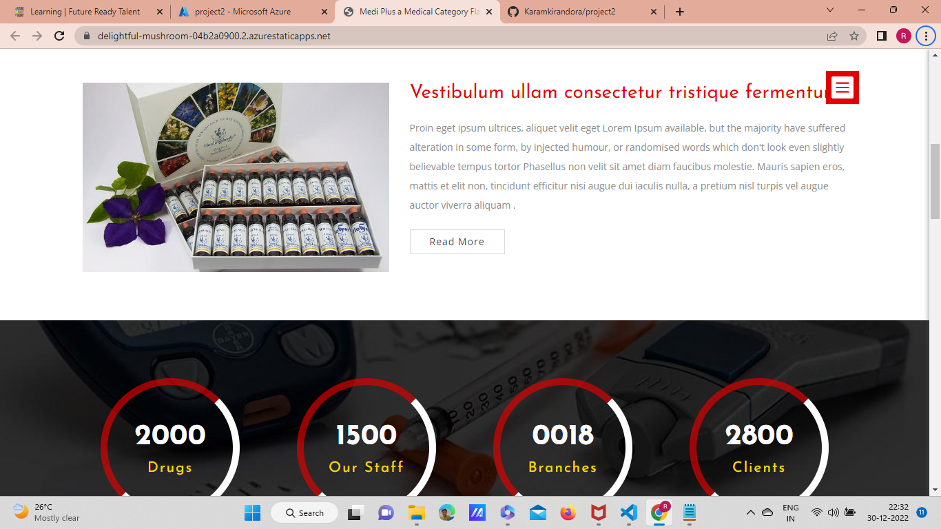 GitHub - Karamkirandora/project2