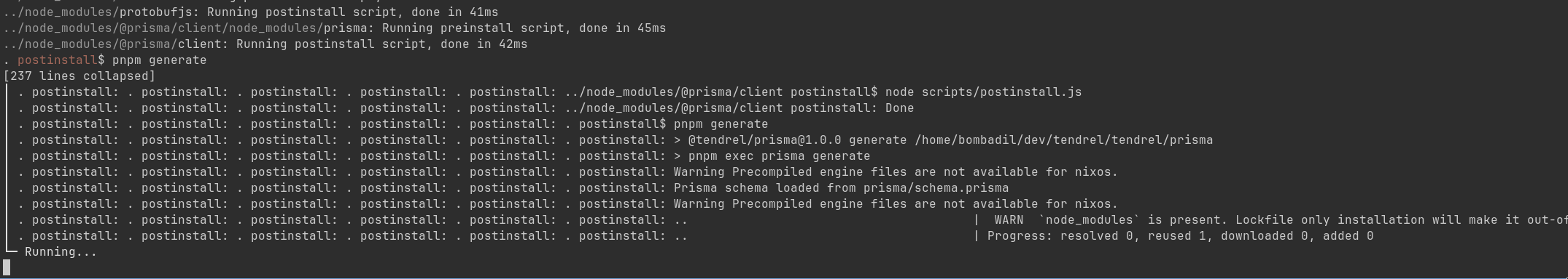 Never ending postinstall when using prisma with pnpm · Issue #20870 · prisma/prisma · GitHub