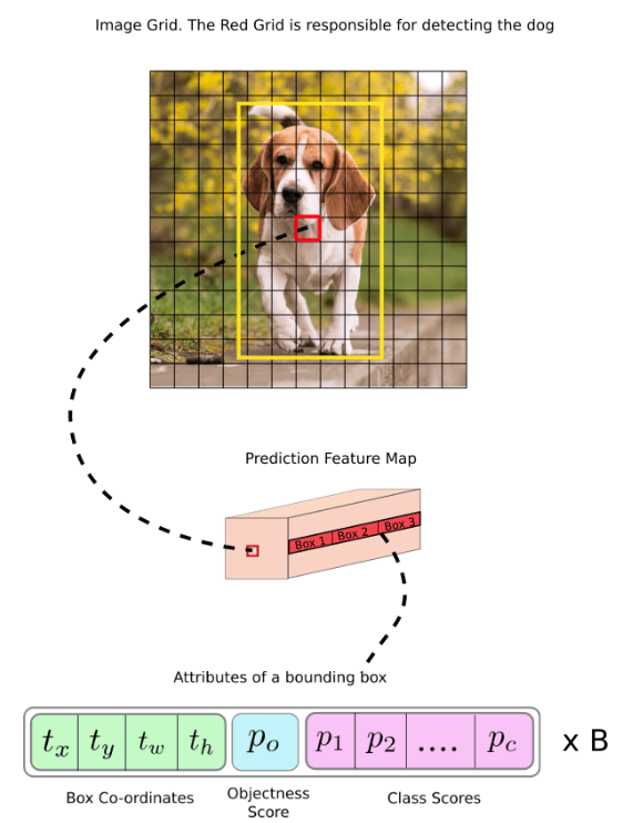 GitHub - Ahmed-Ezzat20/object-detection-YOLO-v3