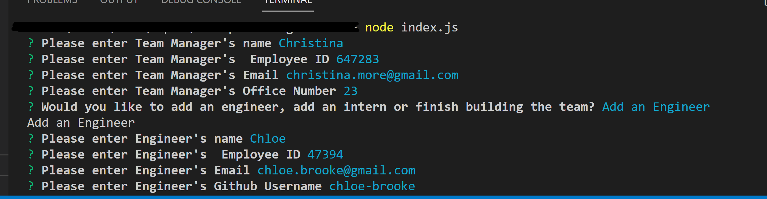 GitHub - eliza-an/team-profile-generator