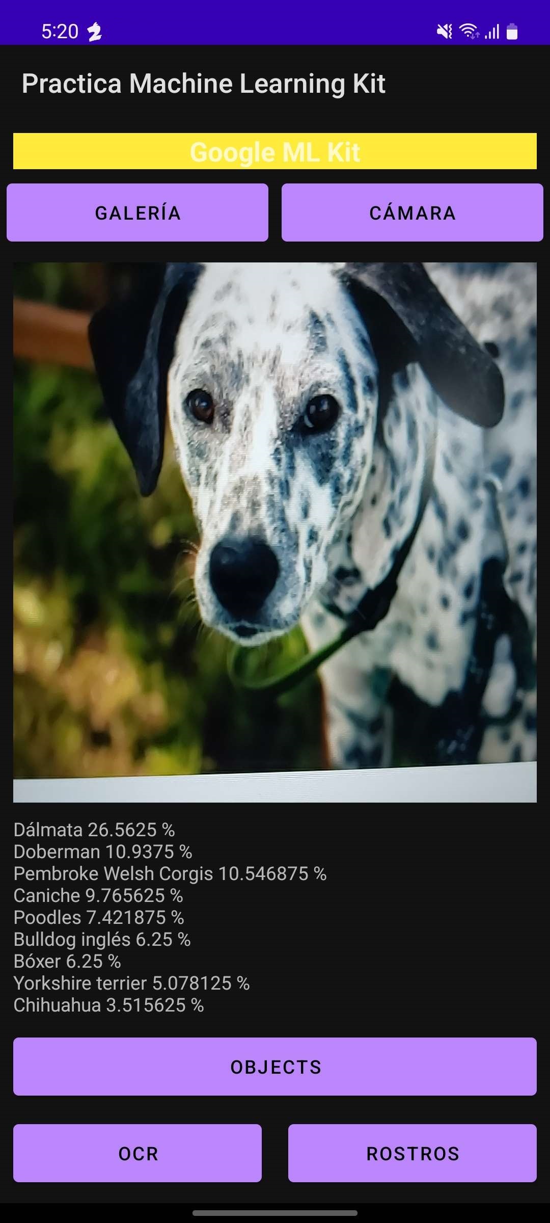 GitHub - NTLHCTR/Practica-MLKit_TensorFlowLite