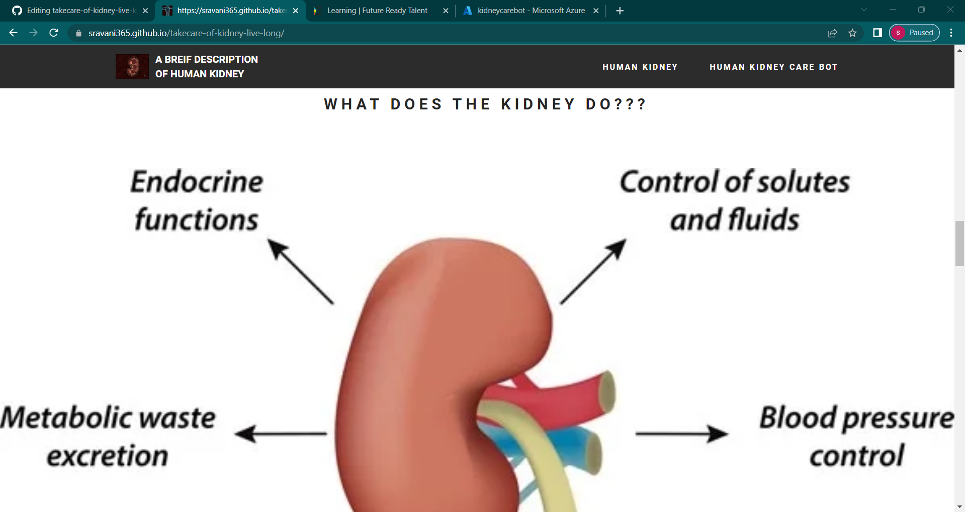GitHub - sravani365/takecare-of-kidney-live-long