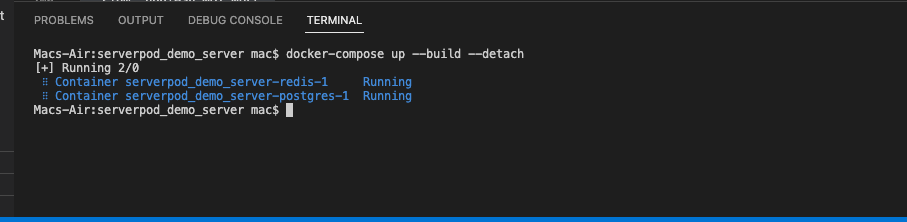 Error after terraform init terraform apply command · serverpod serverpod · Discussion #446 · GitHub