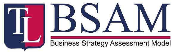 GitHub - TEESlab-UPRC/BSAM