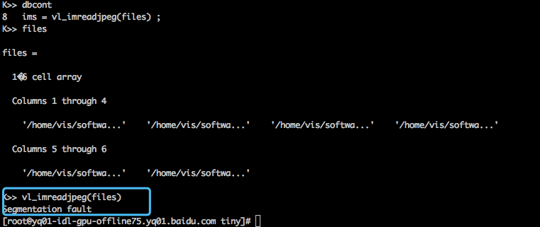 segmentation fault when i use vl_imreadjpeg · Issue #1050 · vlfeat/matconvnet · GitHub