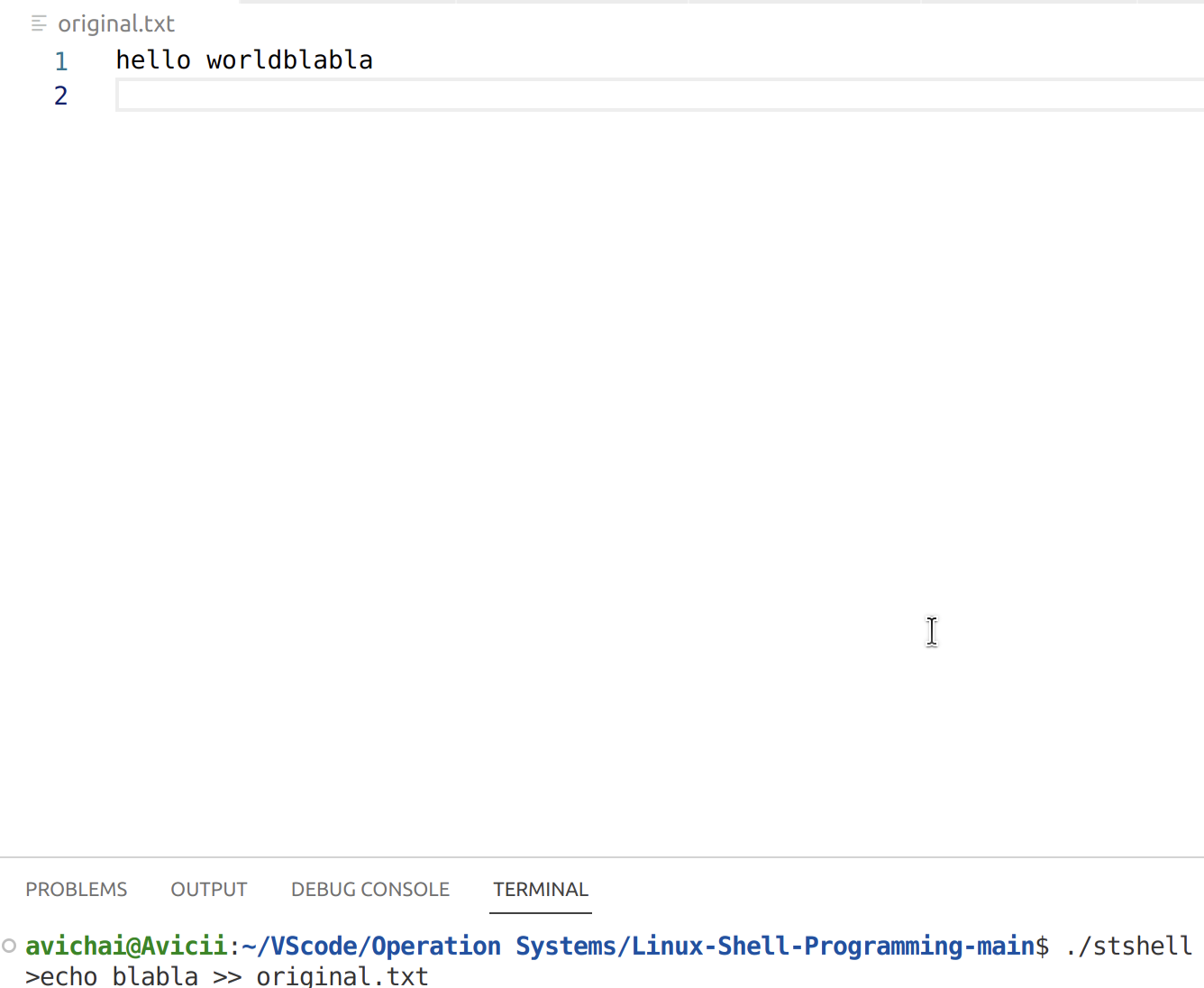 GitHub - Avichai-Mizrachi/OS-ShellProject