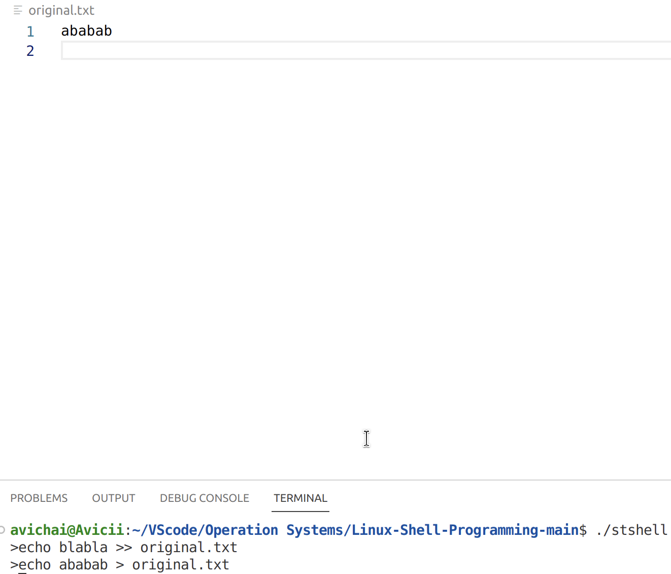 GitHub - Avichai-Mizrachi/OS-ShellProject