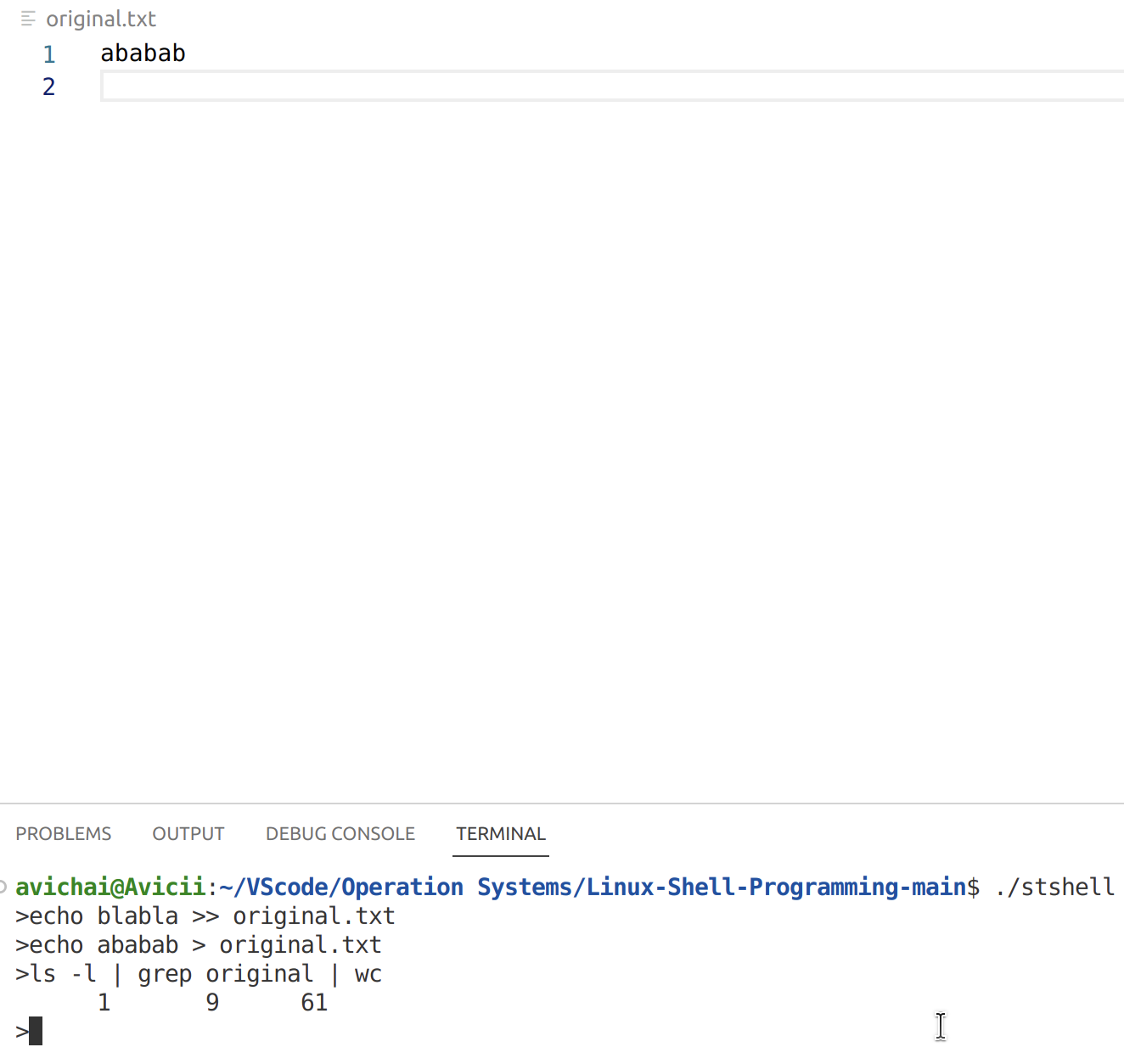 GitHub - Avichai-Mizrachi/OS-ShellProject