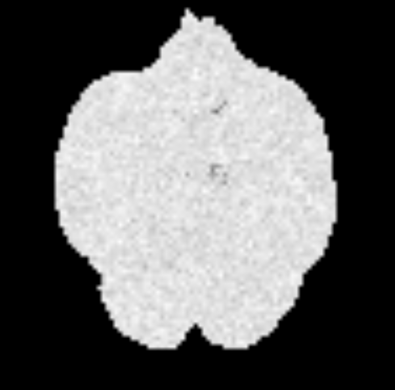 Difficulty starting the program · Issue #291 · muscbridge/PyDesigner · GitHub