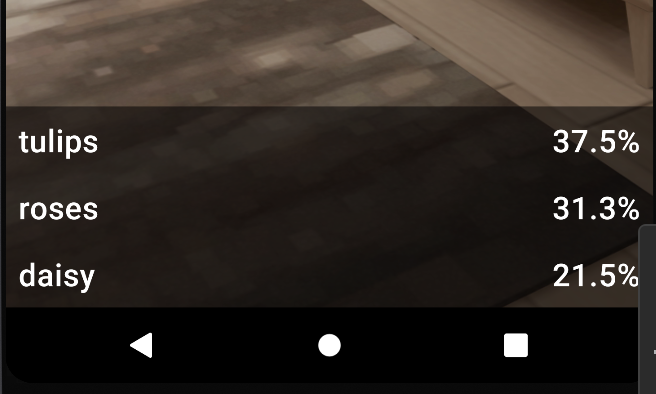 Recognize Flowers with TensorFlow Lite on Android Codelabs - step 4 ...