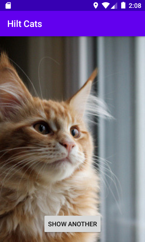 GitHub - genctasbasi/hilt-cats: A sample app showing the basics of ... GitHub - genctasbasi/hilt-cats: A sample app showing the basics of ...