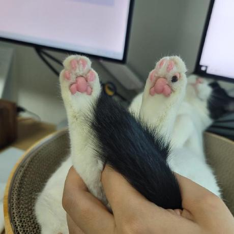 GitHub - Goorm-helpme/youtube_clone: 유튜브 클론 코딩입니다