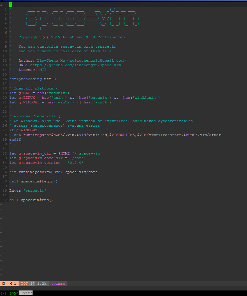 Vim unreadable in Putty · Issue #299 · liuchengxu/space-vim · GitHub