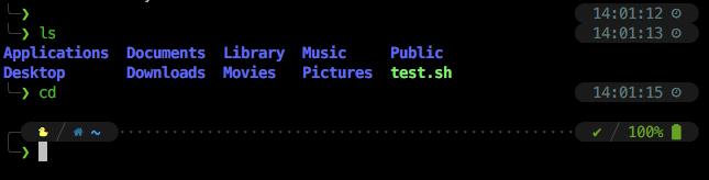 Transient prompt feedback · Issue #316 · romkatv/powerlevel10k · GitHub