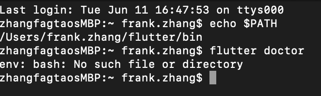 Flutter Doctor But Env Bash No Such File Or Directory · Issue 34222