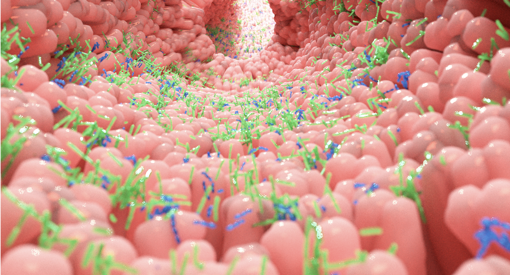 GitHub - katieborlie/belly-button-challenge