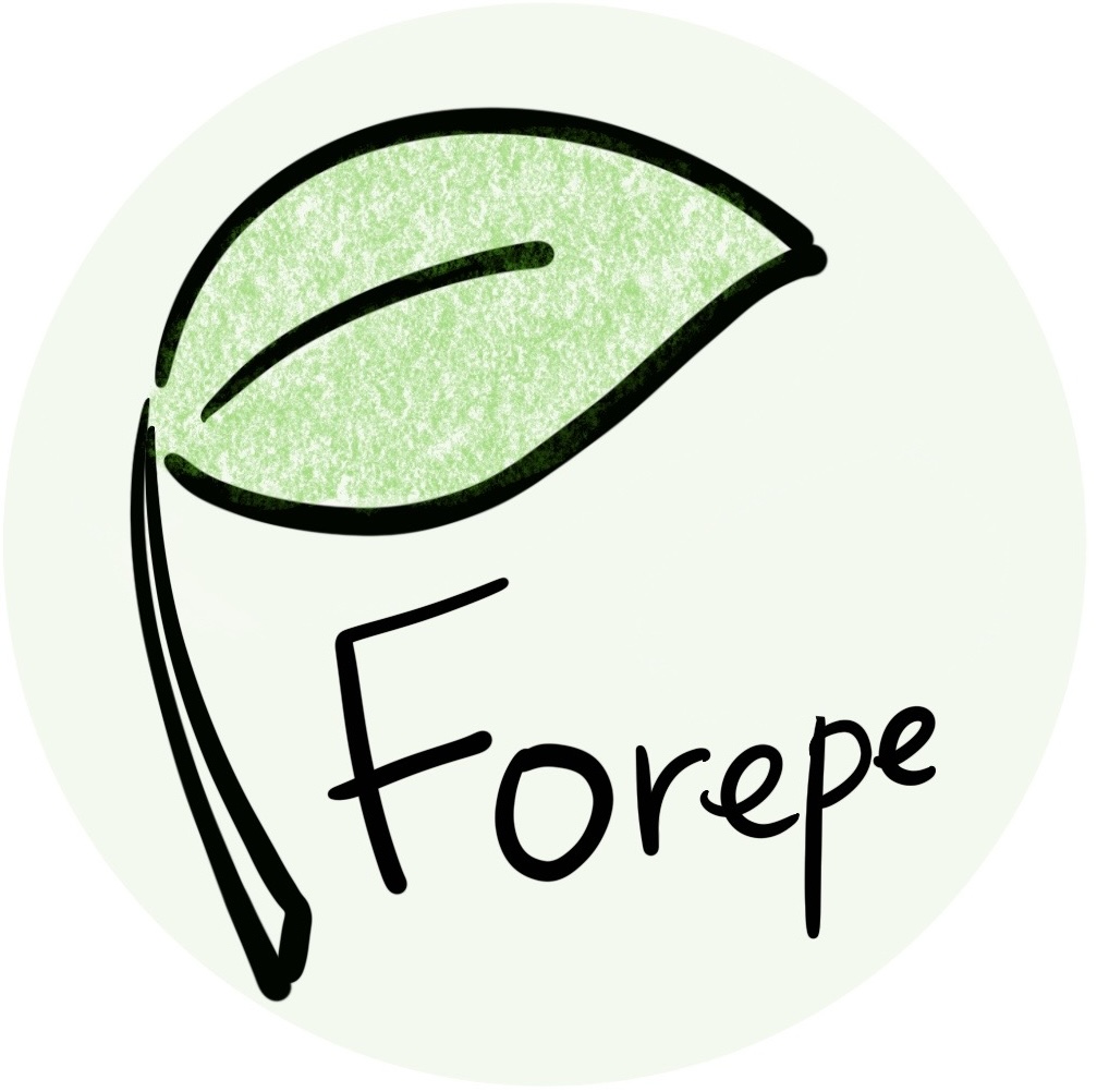 mtvs-merge · GitHub