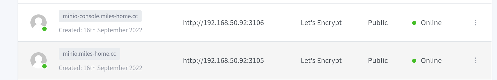 Minio Admin Web With Nginx Proxy Manager Download Image Not Working 403 · Minio Minio 